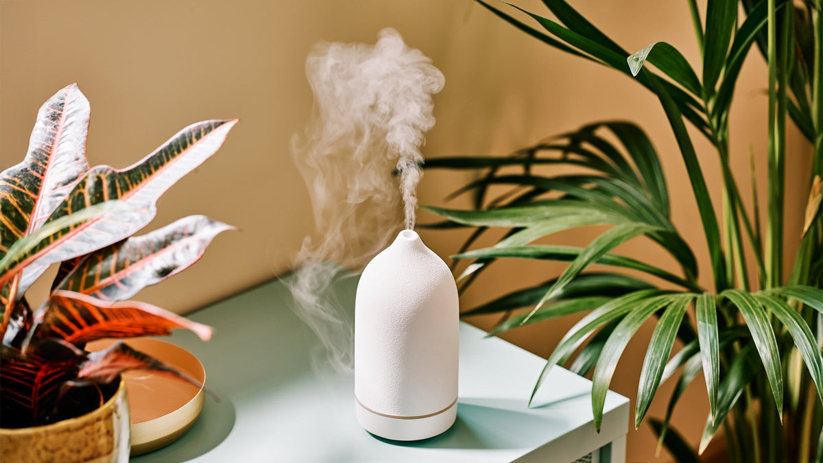 Immune-Support Diffuser Blend - Essential Oil Recipes | aromatics.com – Aromatics International