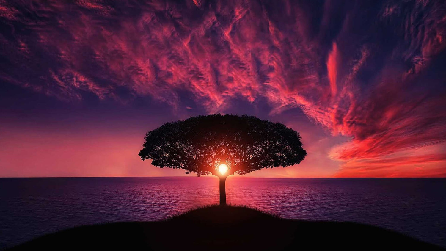 Plastic Blank Inhalers for Aromatherapy | aromatics.com – Aromatics ...