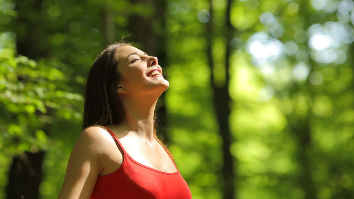 Enchanted Forest Inhaler Blend Recipe | aromatics.com – Aromatics ...