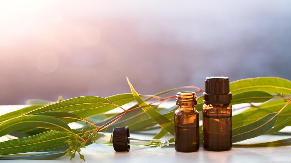 Organically Produced Tea Tree Essential Oil - Aromatics International ...