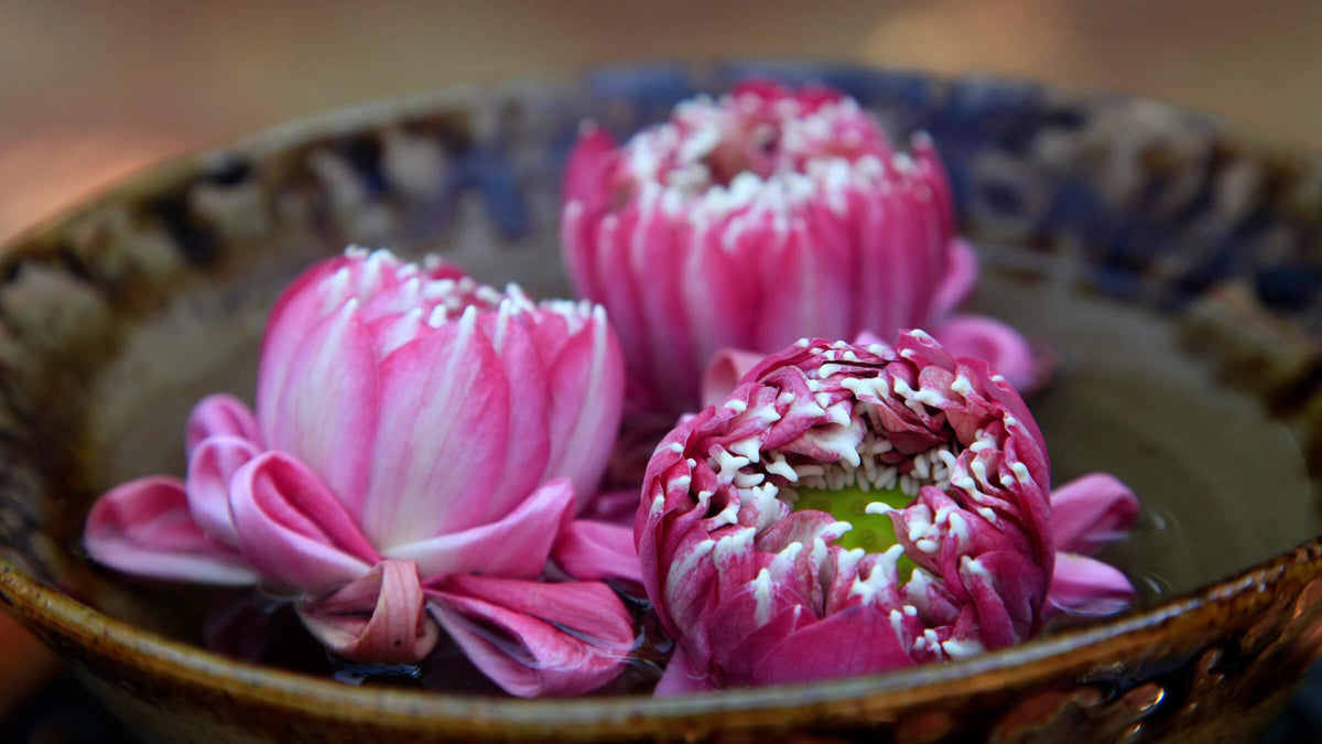 Uplifting Diffuser Blend - Natural Recipe | aromatics.com – Aromatics ...