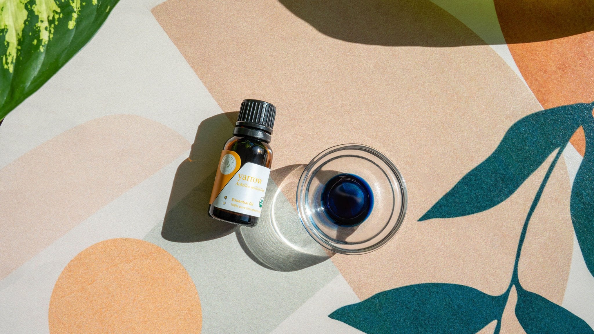 What is yarrow oil good for? | aromatics.com – Aromatics International