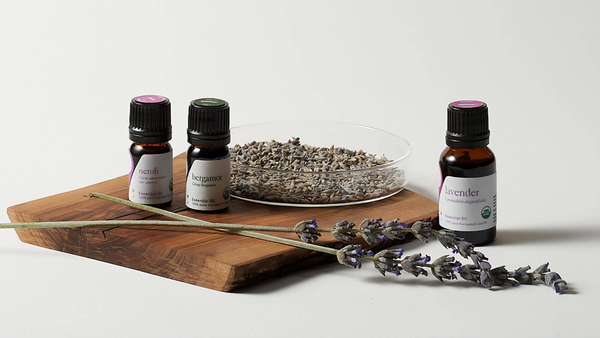 Top 10 Essential Oils for Rest & Relaxation | www.aromatics.com ...