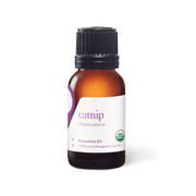 Catnip Essential Oil - Aromatics International