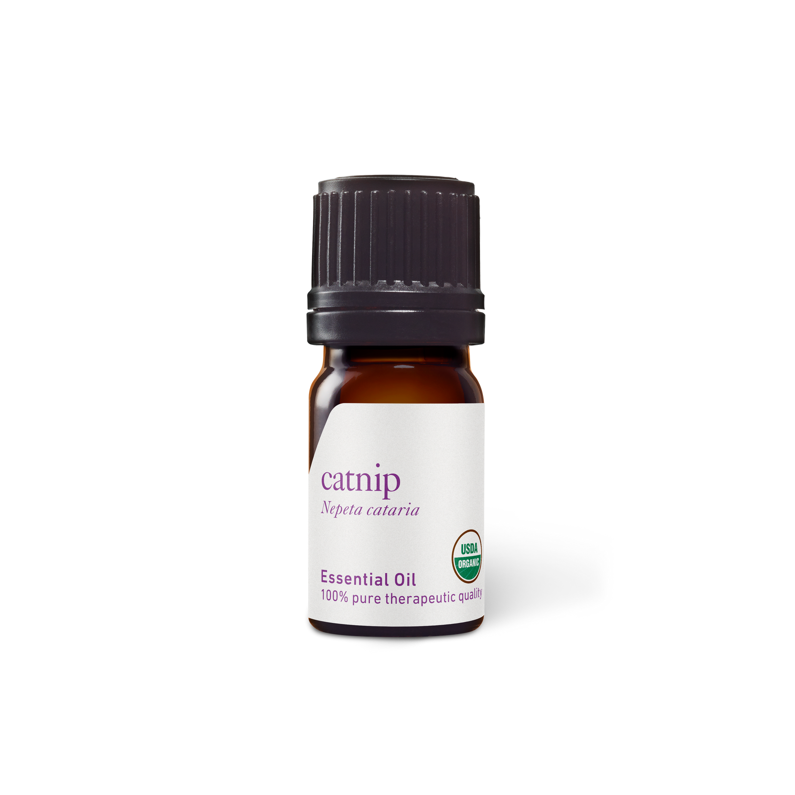 Catnip Essential Oil - Aromatics International