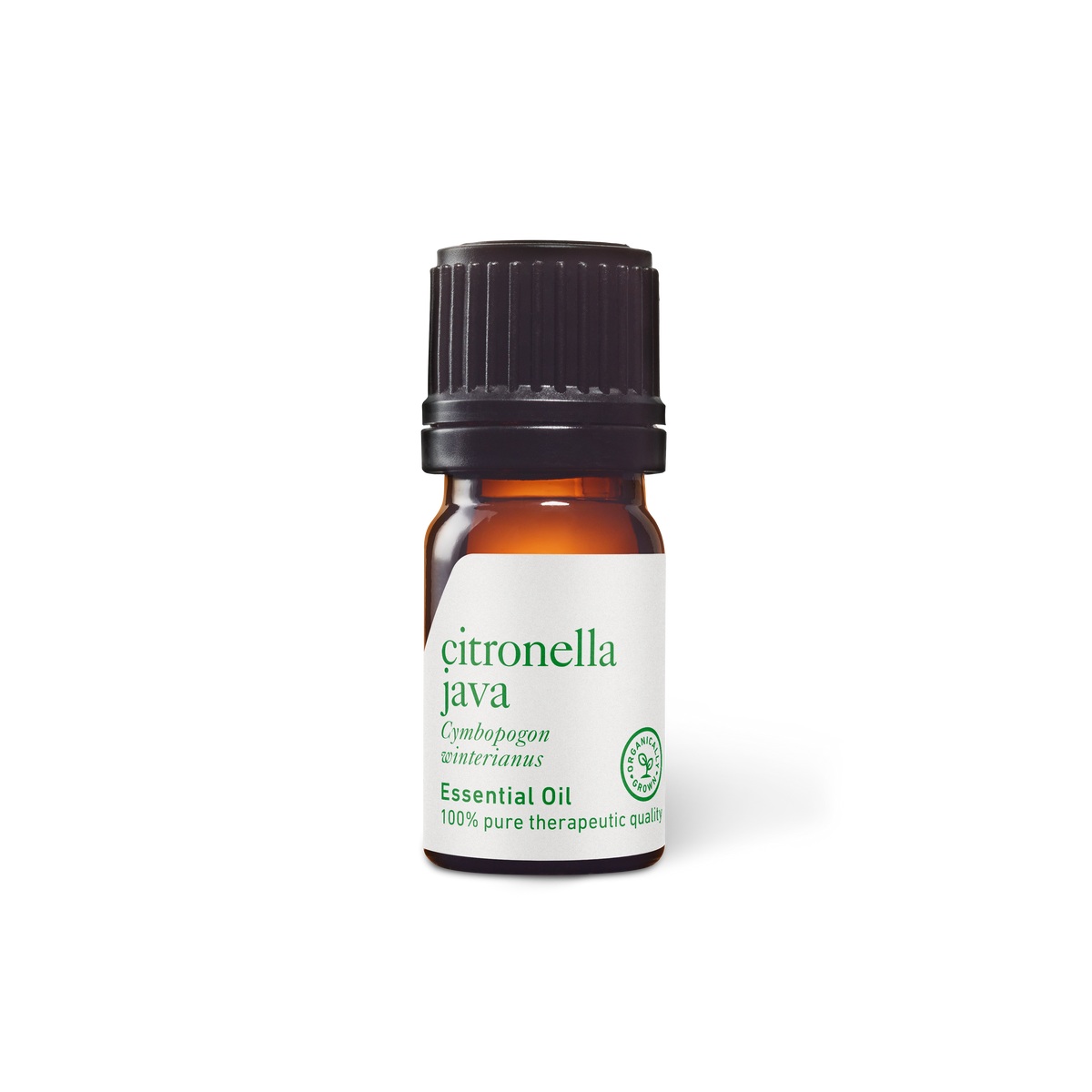 Citronella Java Essential Oil - Aromatics International