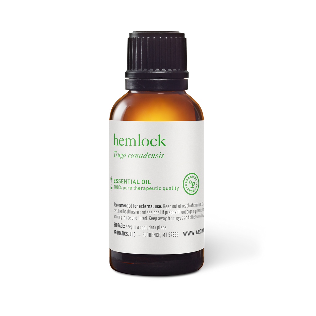 Organic Hemlock Essential Oil - Aromatics International