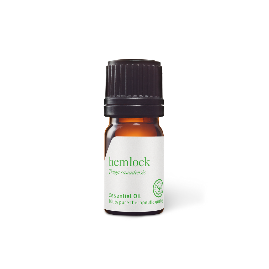 Organic Hemlock Essential Oil - Aromatics International