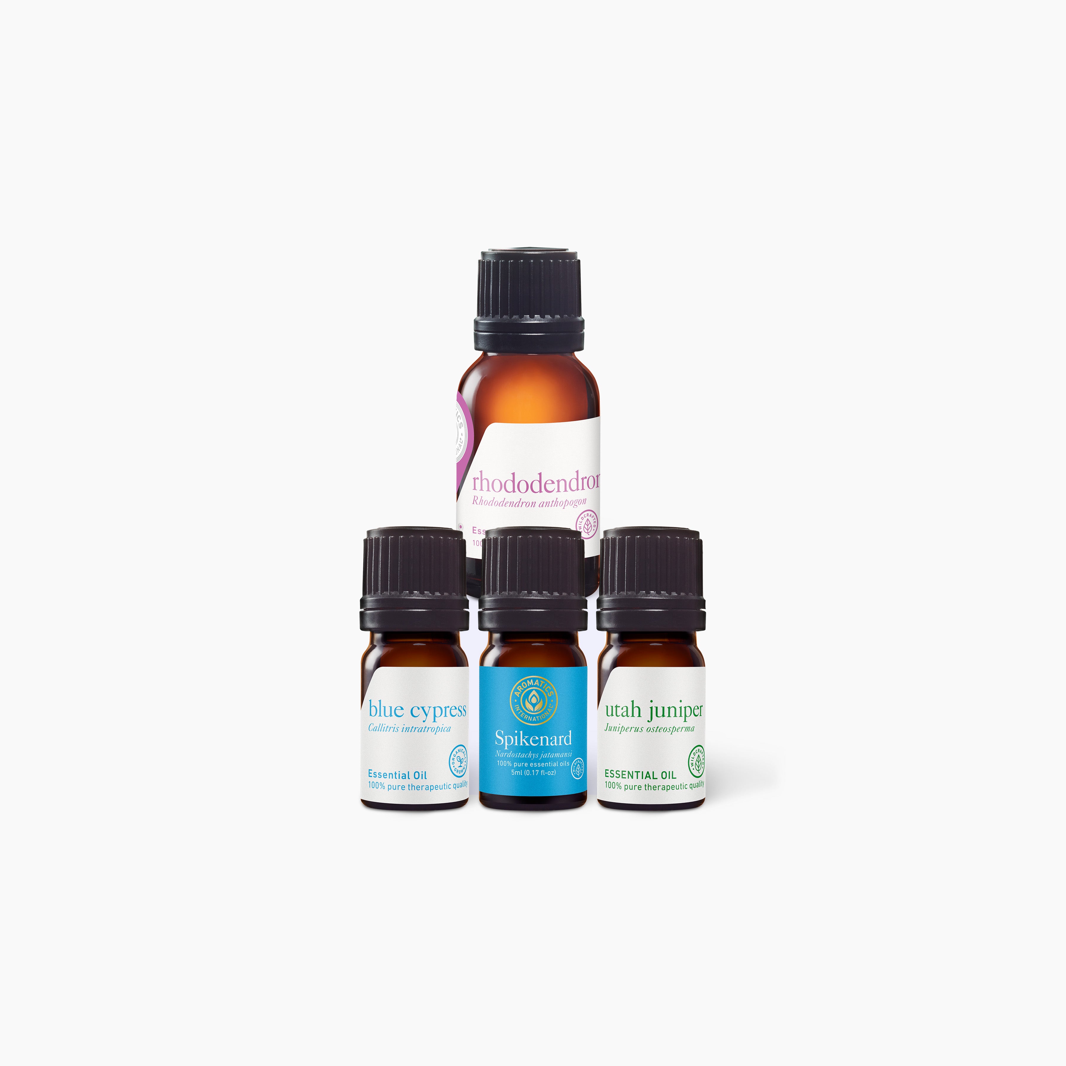 Himalayan Kit - Aromatics International | www.aromatics.com