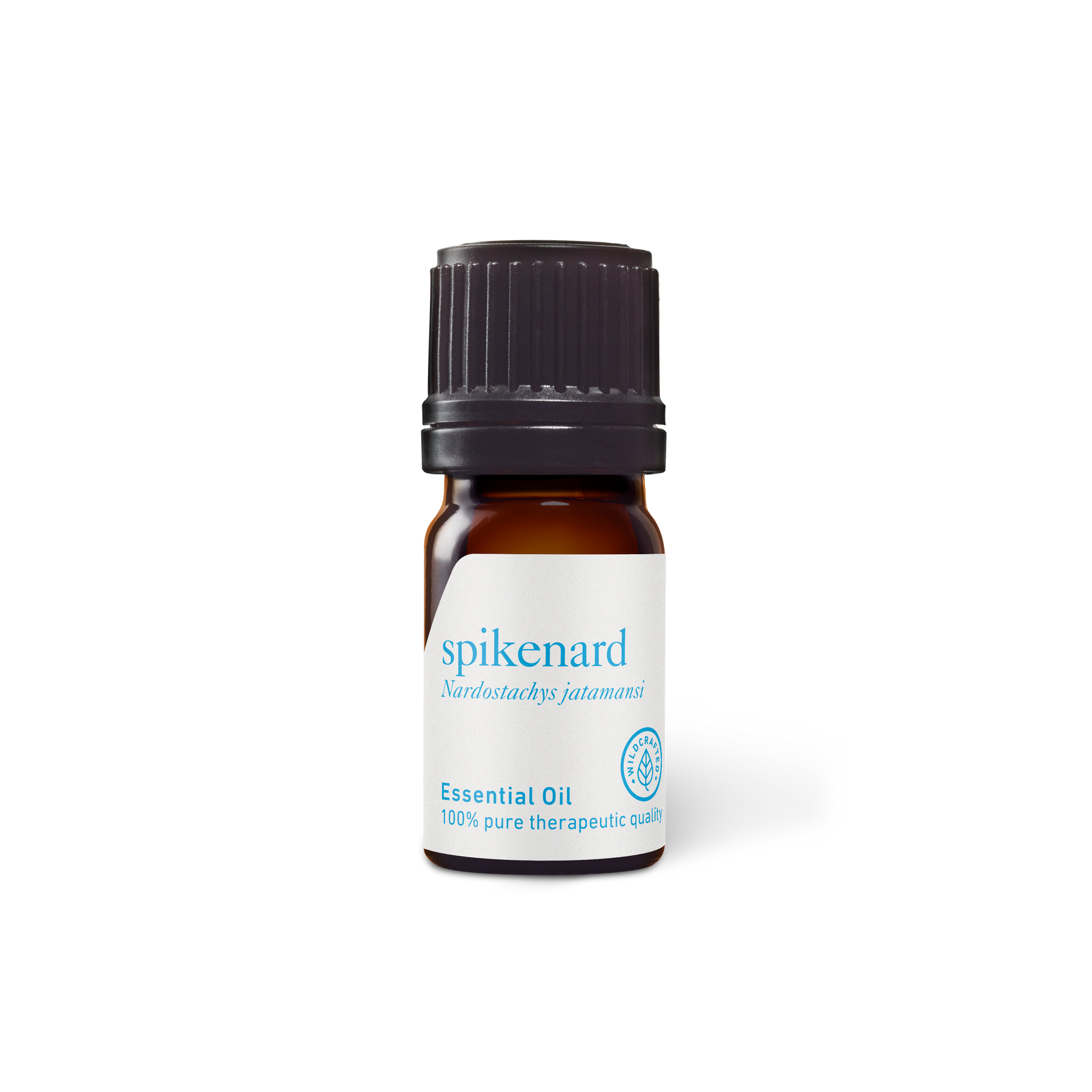 Spikenard Essential Oil - Aromatics International