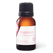 Fingerroot Essential Oil - Aromatics International