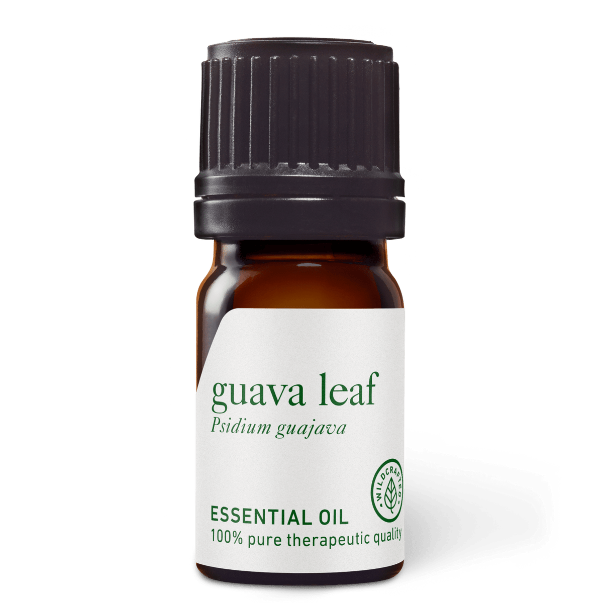 Guava Leaf Essential Oil - Aromatics International