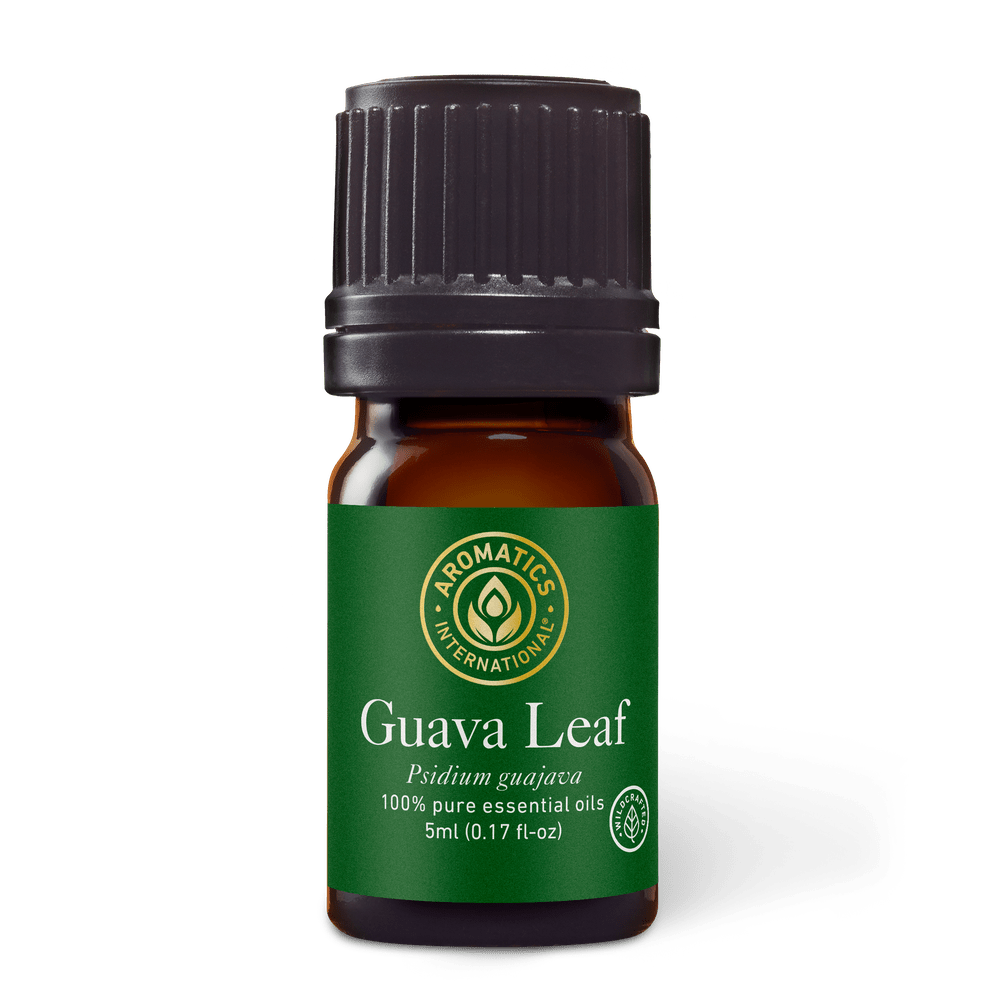 Wildcrafted Guava Leaf Essential Oil - Aromatics International - 100% ...