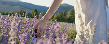 Shop All Aromatherapy Products | Aromatics International | aromatics.com