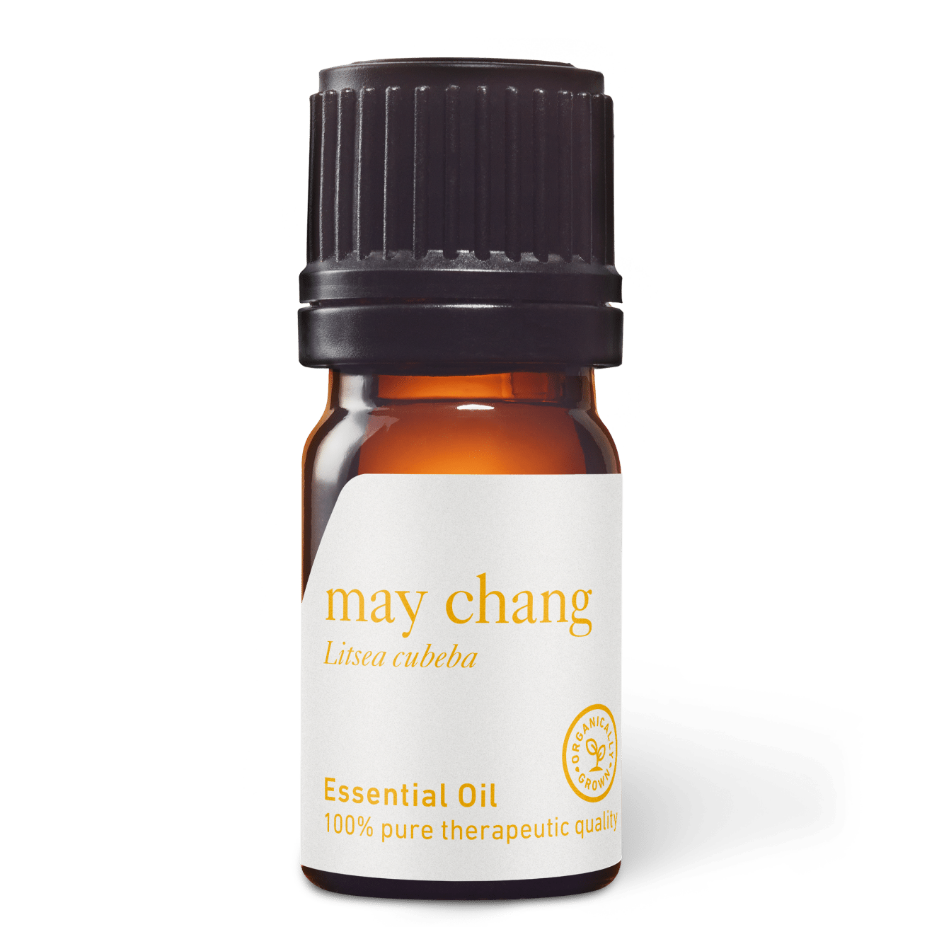 May Chang Essential Oil - Aromatics International