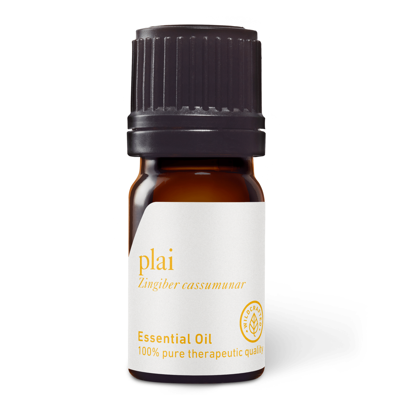 Plai (Central) Essential Oil - Aromatics International