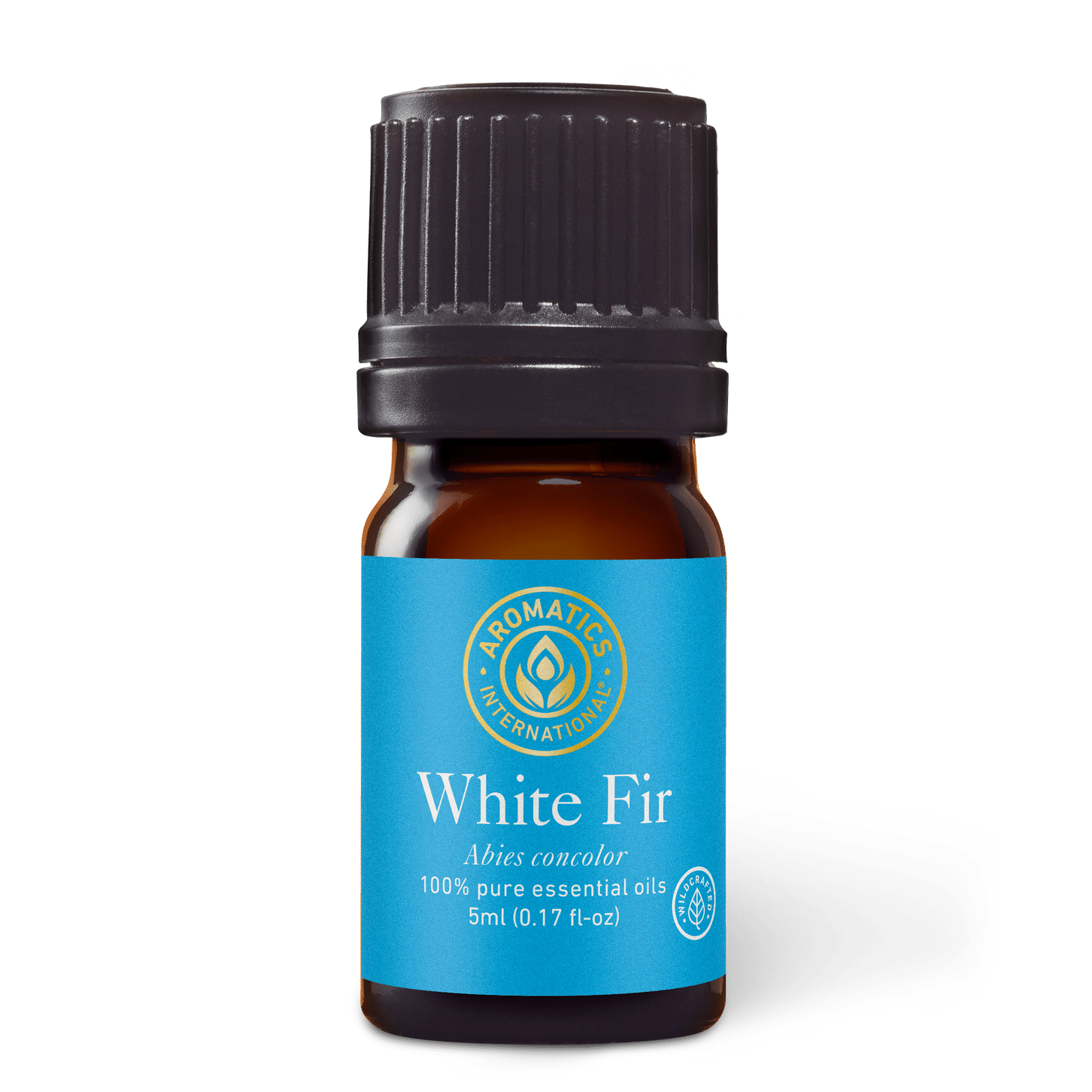 Wildcrafted White Fir Essential Oil - Aromatics International - 100% ...