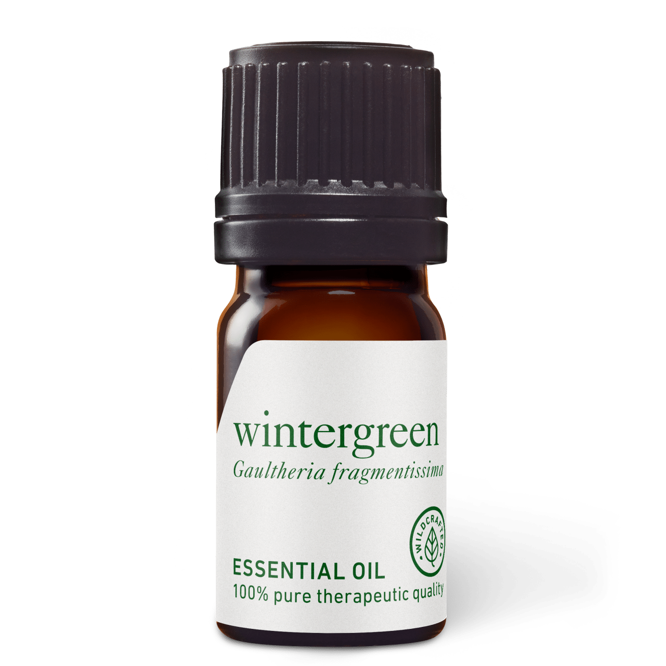 Wintergreen Essential Oil - Aromatics International